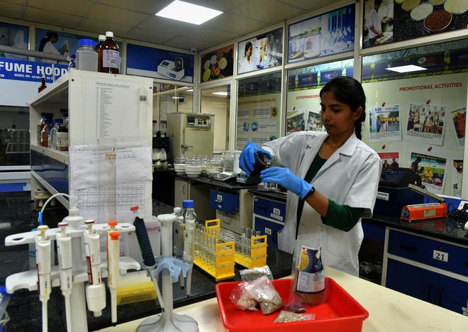 The Millet Makeover Nutrihub Icar Iimr S Technology